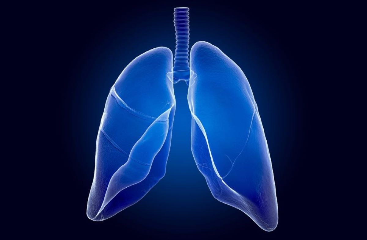Edemul pulmonar: De ce apare edemul pulmonar? Este o cauză frecventă de ...